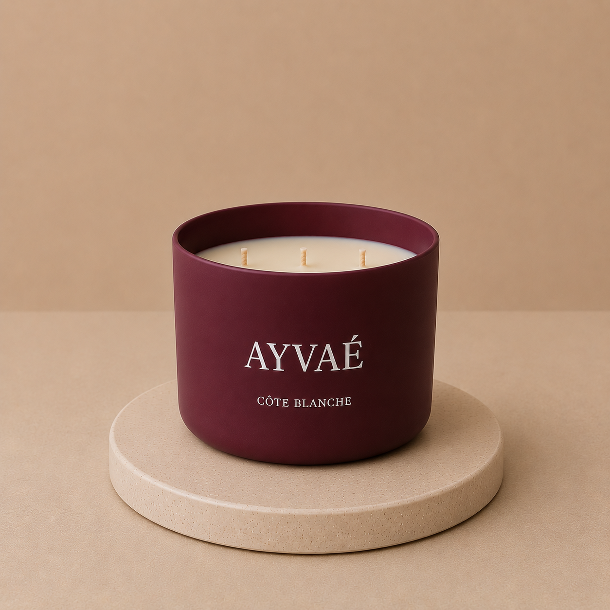 Deep Plum Matte Ceramic Reed Diffuser Set – AYVAÉ